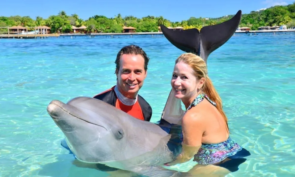 Dolphins Encounter – Lets Go Roatan Tours